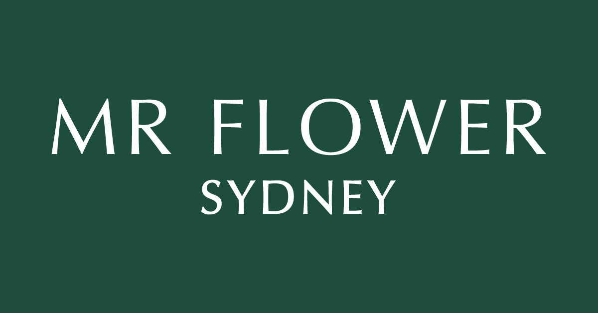 Mr. Flower Sydney - Professional Floral Design & Delivery Service